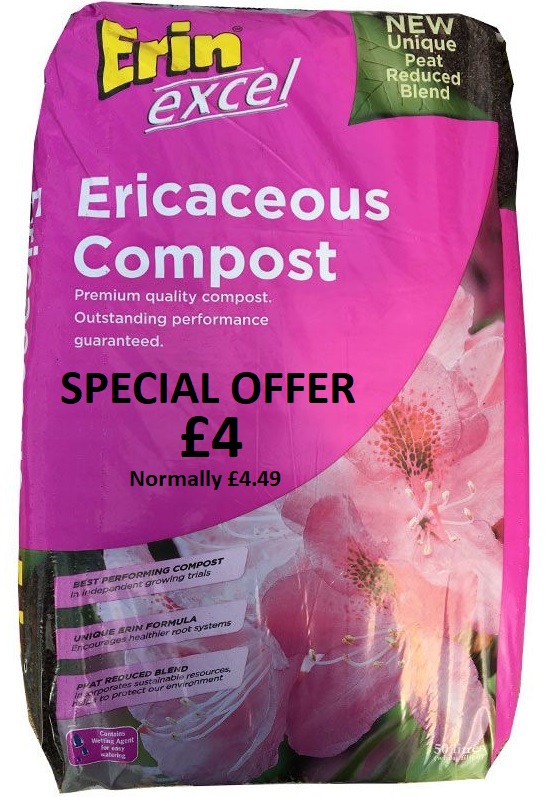 Youngs Nurseries - Garden Centre Based In Broadstairs, Kent